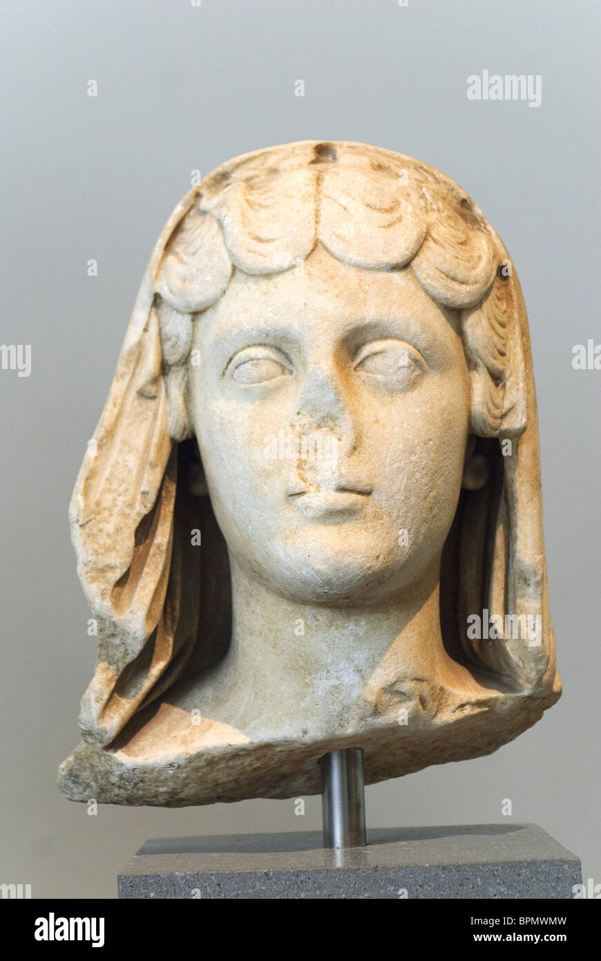 Roman Moss's Instagram, Twitter & Facebook on IDCrawl