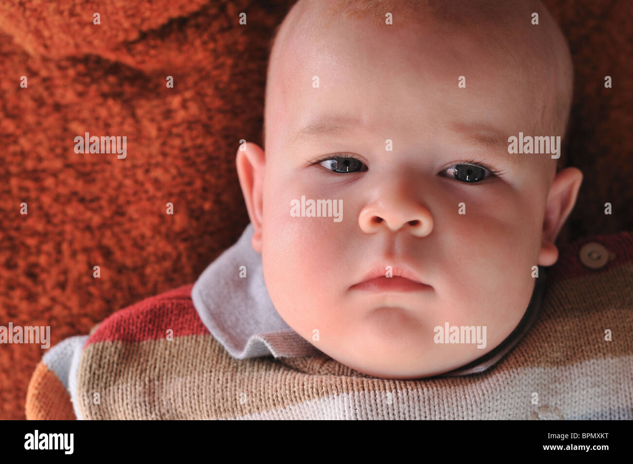 Three and half months old baby headshot Stock Photo - Alamy