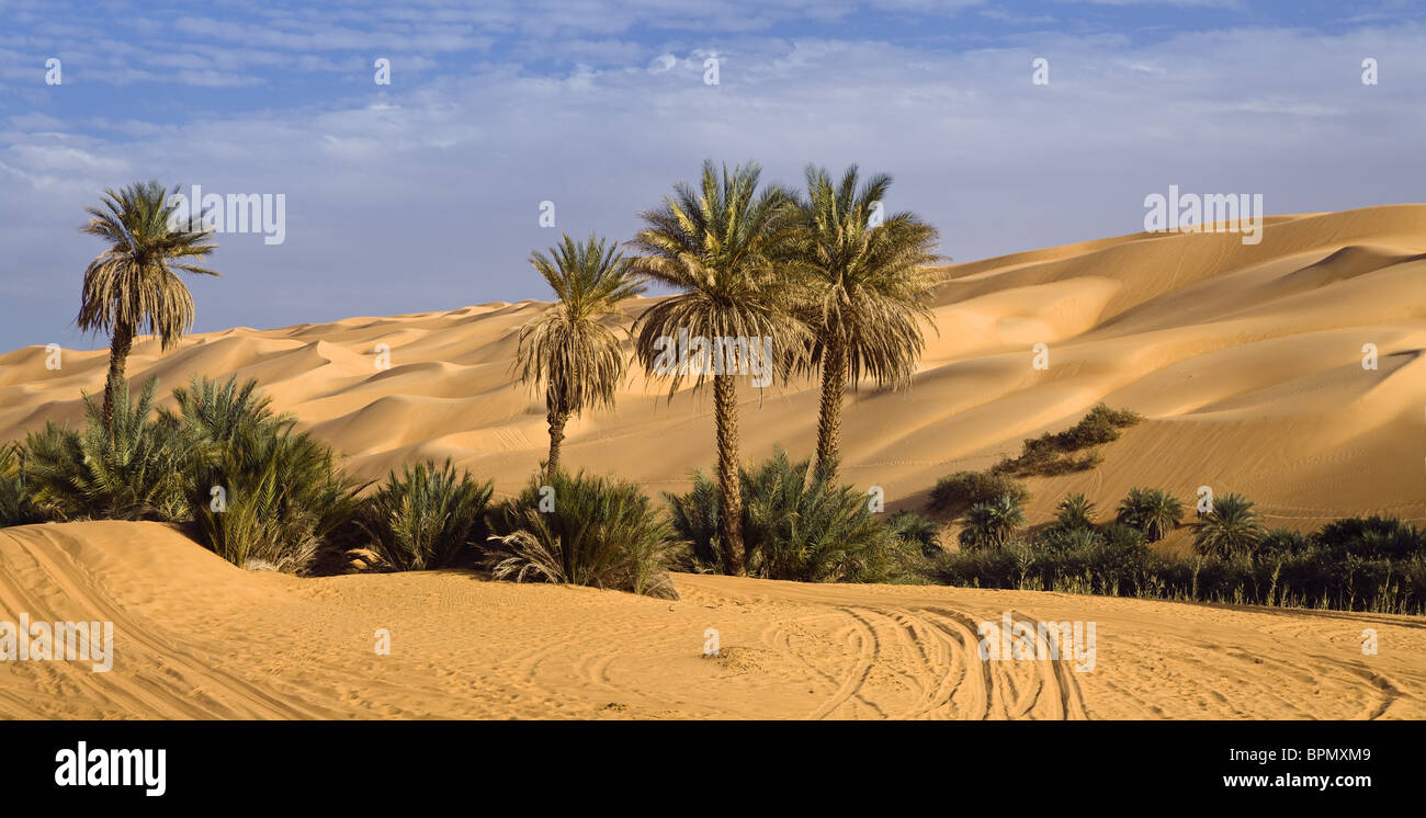 Libya oasis hi-res stock photography and images - Alamy
