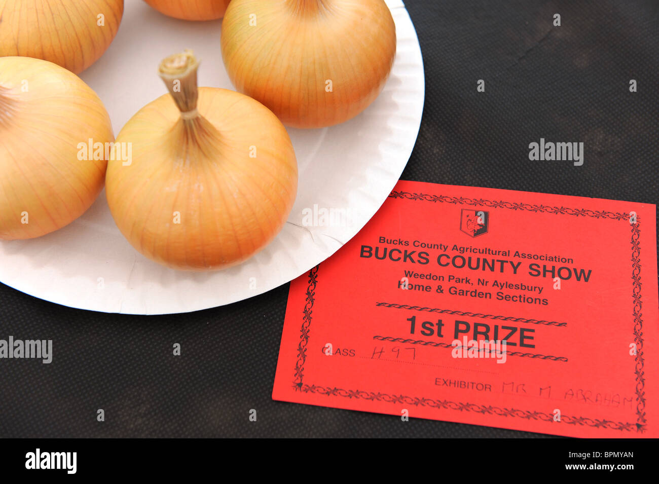 First prize winning onions at the Bucks County Show Stock Photo - Alamy