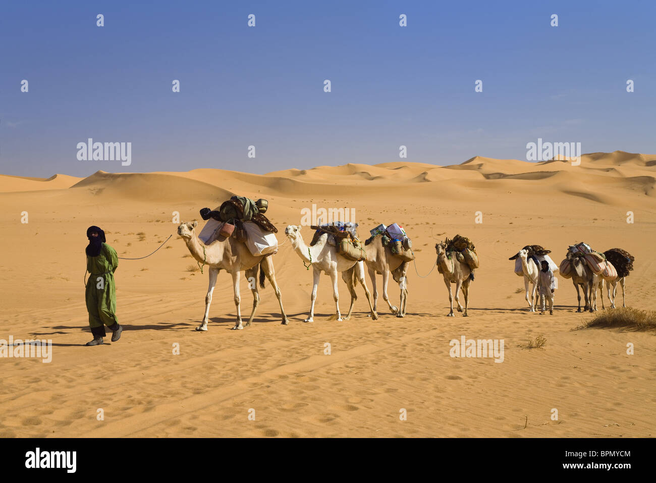 Libya tuareg camel africa desert hi-res stock photography and images ...