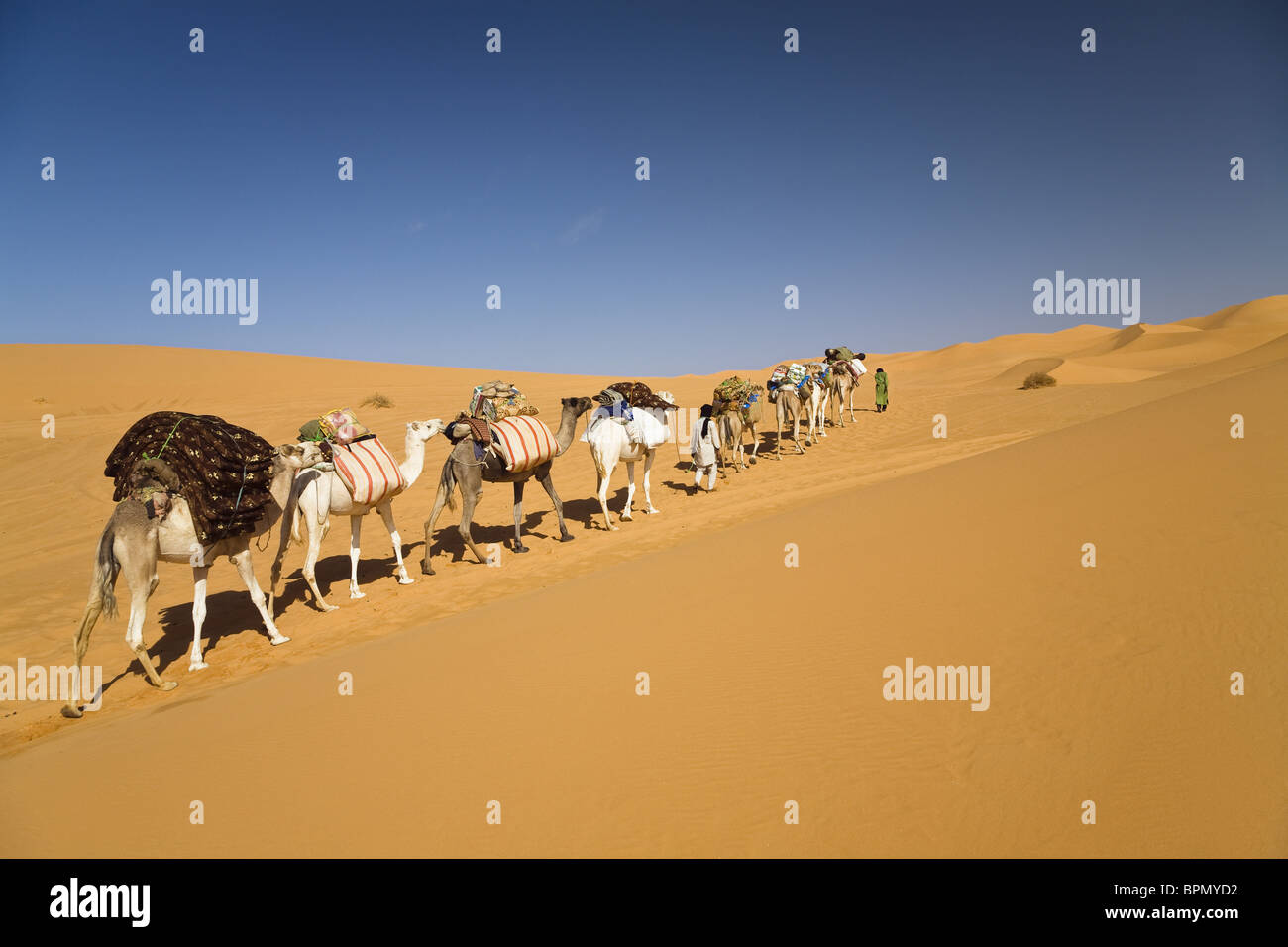 Libya Tuareg Camel Africa Desert High Resolution Stock Photography and ...