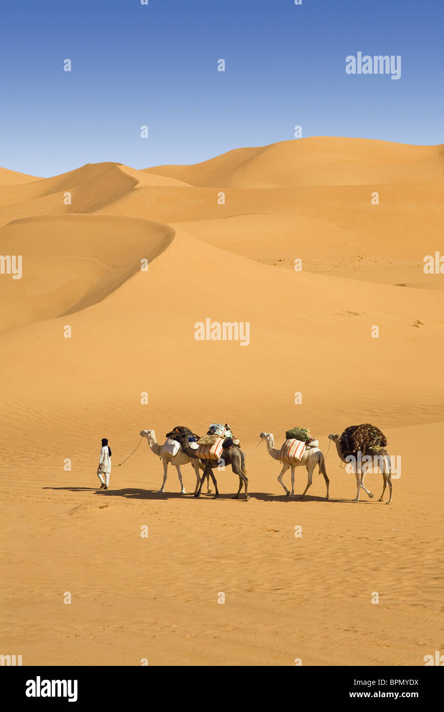 Libya Tuareg Camel Africa Desert High Resolution Stock Photography and ...