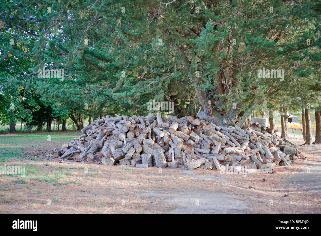 Kindling pile hi-res stock photography and images - Alamy