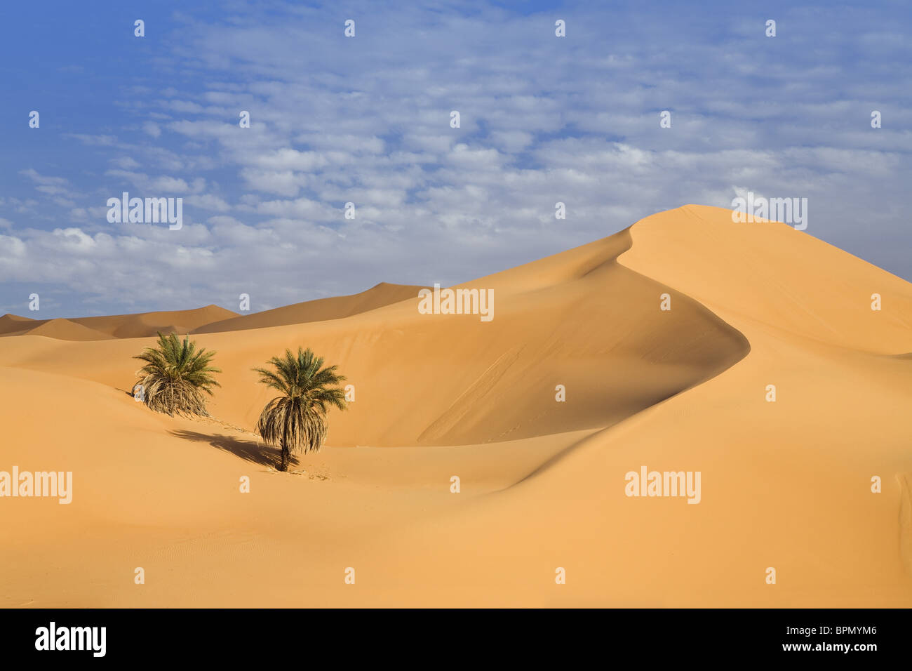 Phoenix spec hi-res stock photography and images - Alamy