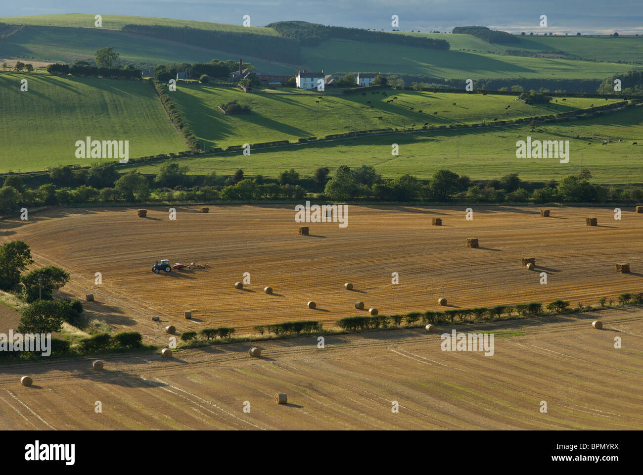 Haymaking uk hi-res stock photography and images - Alamy