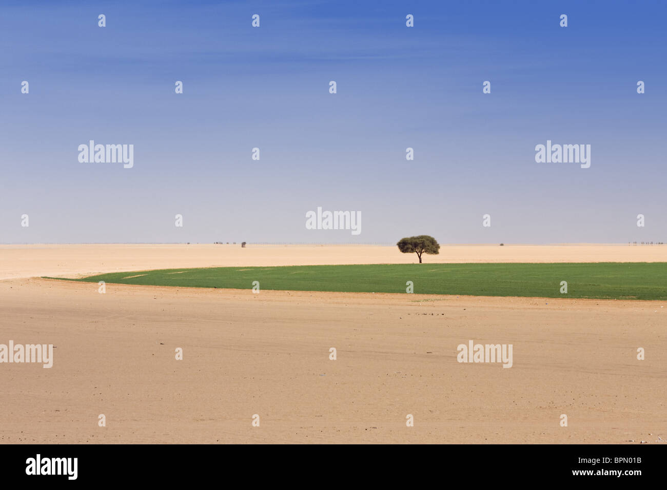 Africa agriculture project hi-res stock photography and images - Alamy