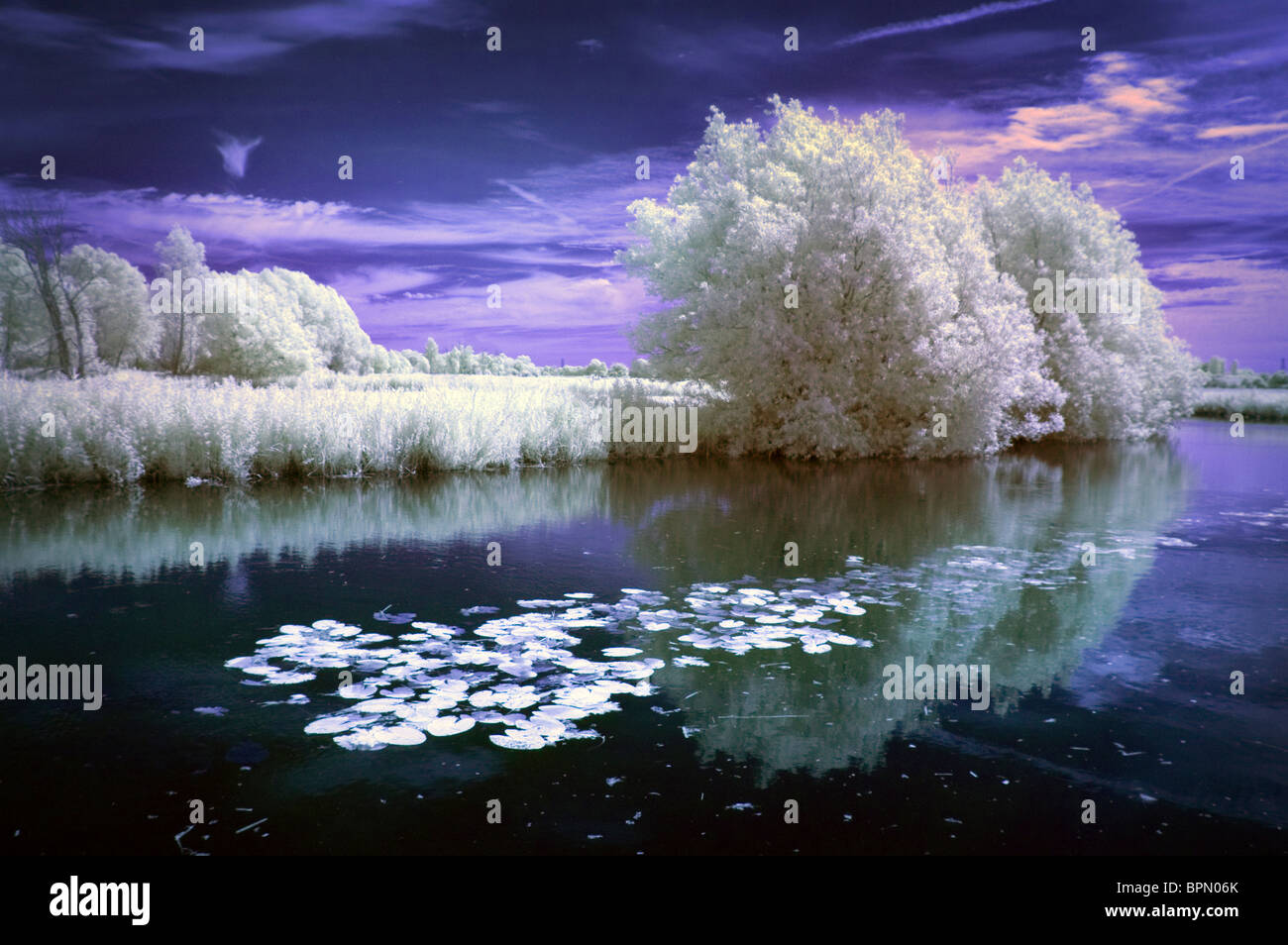 river waveney norfolk suffolk border Stock Photo - Alamy