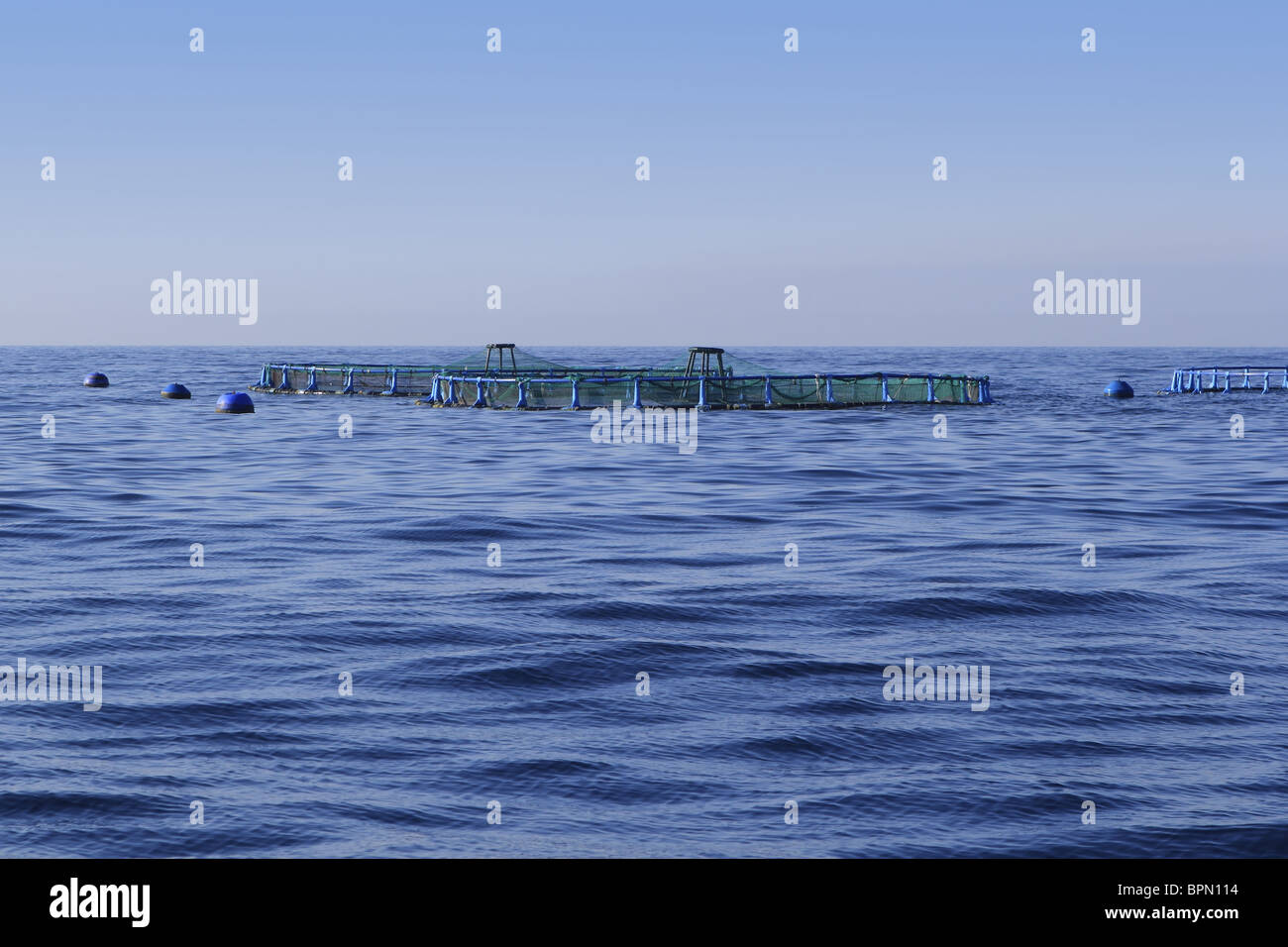 fish farm on blue ocean sea horizon pisciculture Stock Photo - Alamy