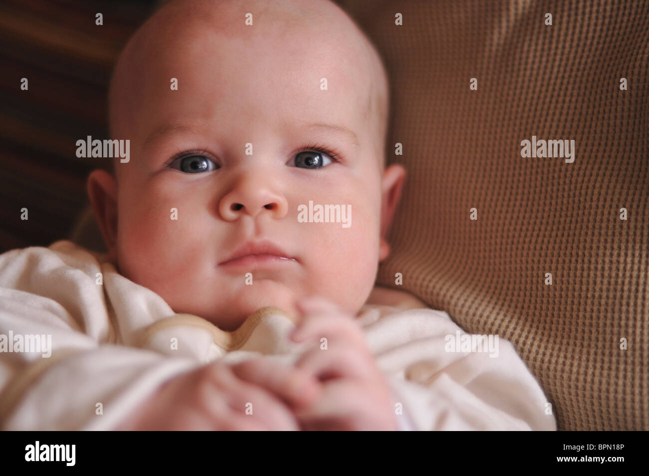 Three and half months old baby headshot Stock Photo - Alamy