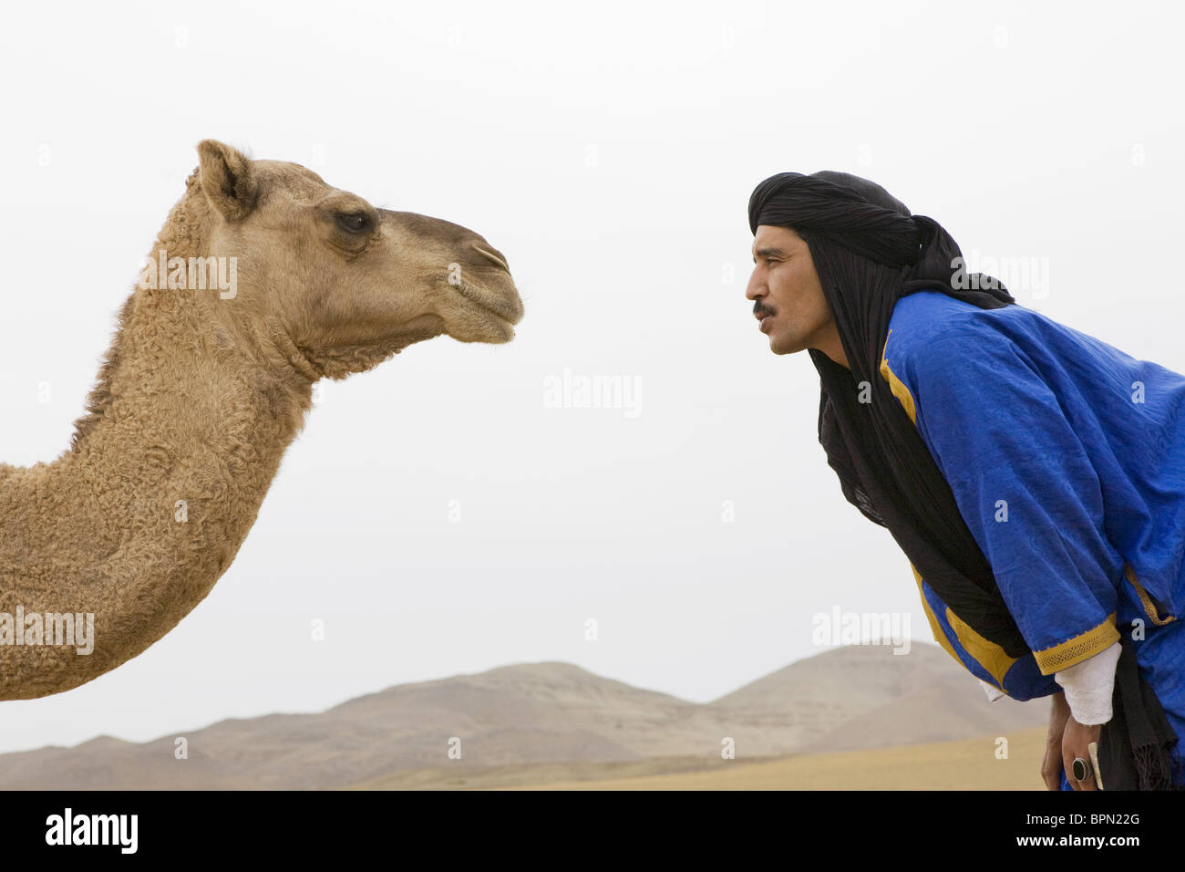 Berber and camel in the Sahara desert, Morocco Stock Photo - Alamy