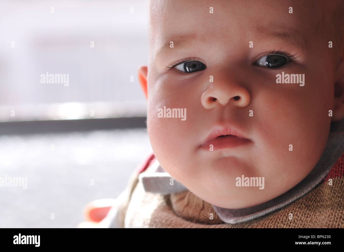 Three and half months old baby headshot Stock Photo - Alamy