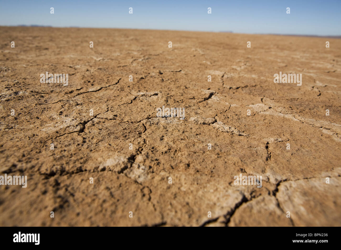 Africa agdz morocco hi-res stock photography and images - Alamy