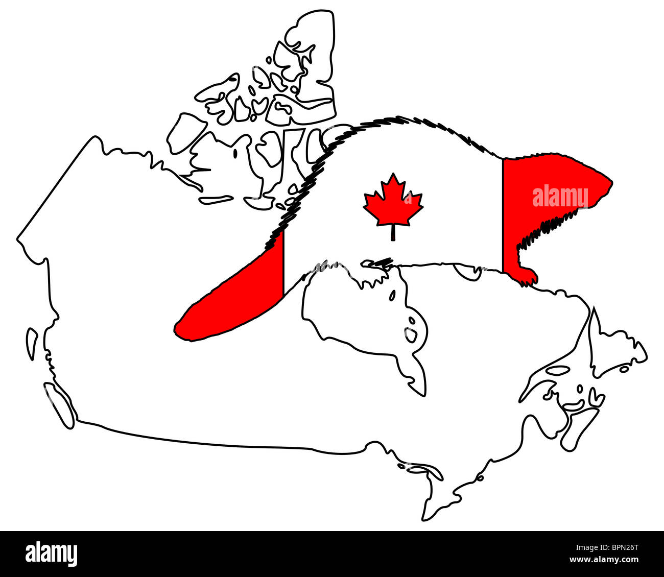 Rodent canada flag beaver hi-res stock photography and images - Alamy