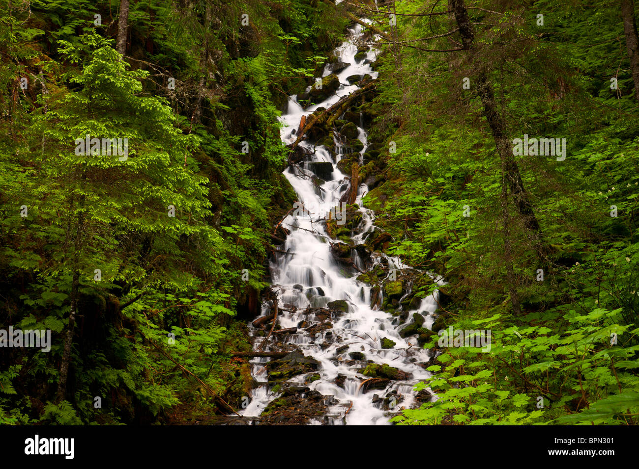 Waterfall, Seward, Alaska Stock Photo - Alamy