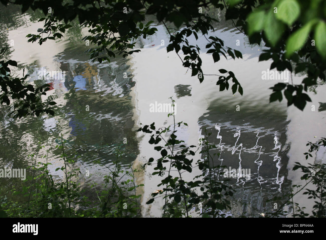 Apartment windows reflected in a river through trees and leaves in Olot ...