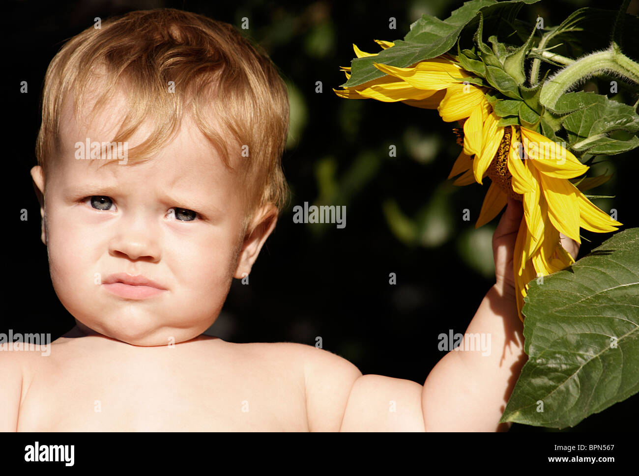Little boy with sunflower Stock Photo - Alamy