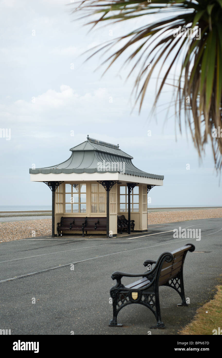 Worthing palm trees hi-res stock photography and images - Alamy