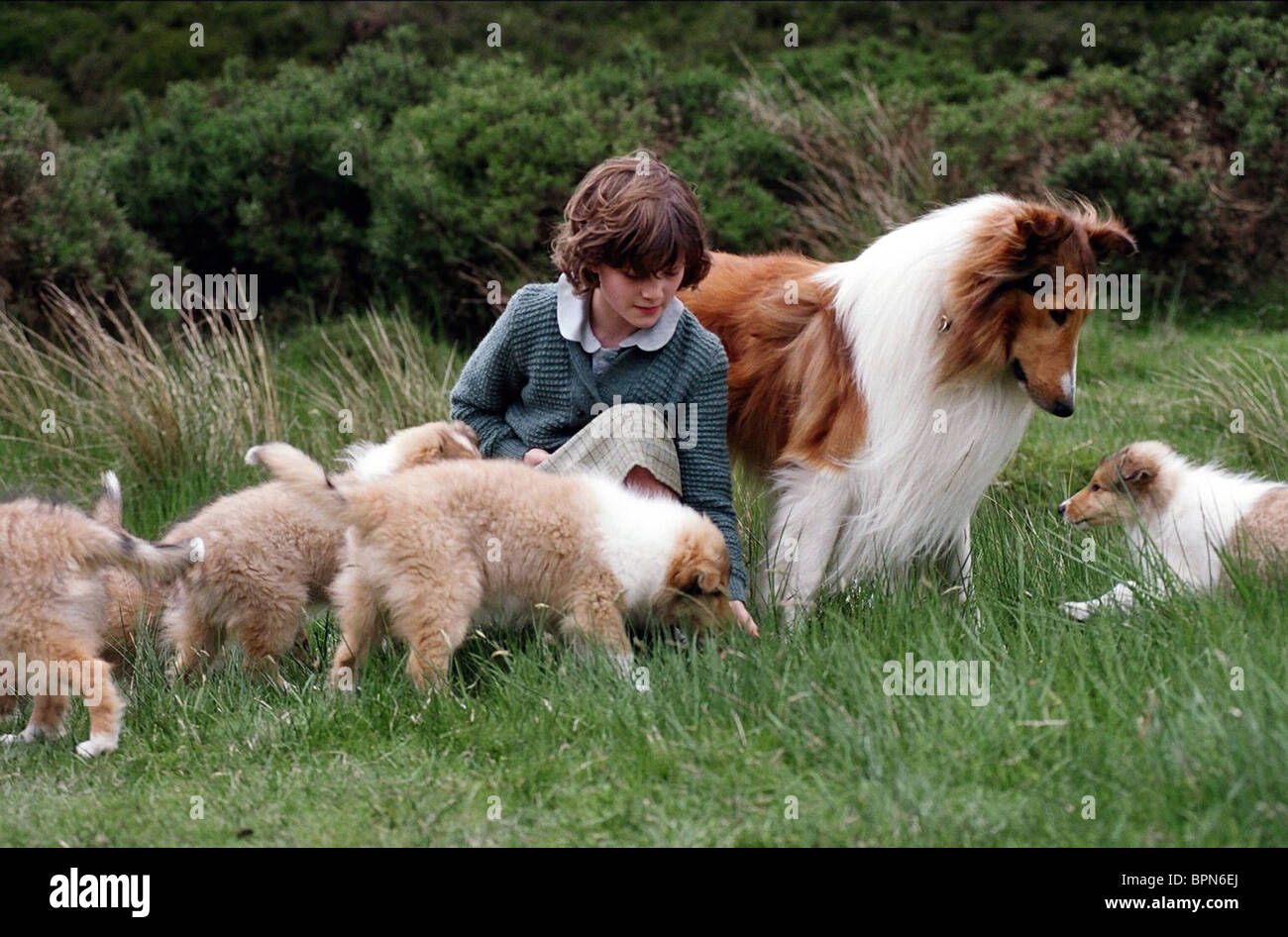 Hester Odgers High Resolution Stock Photography and Images - Alamy