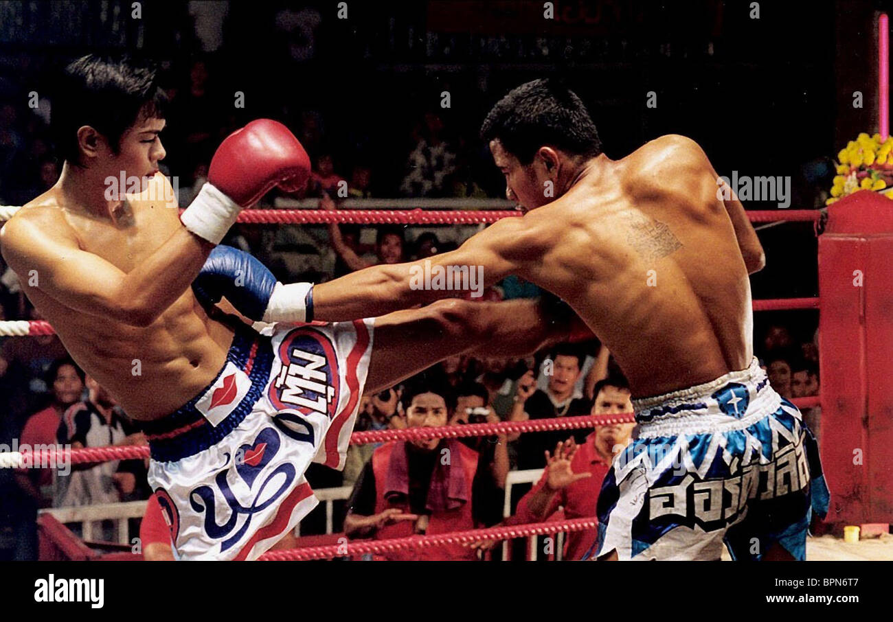 Boxer Actor High Resolution Stock Photography and Images - Alamy