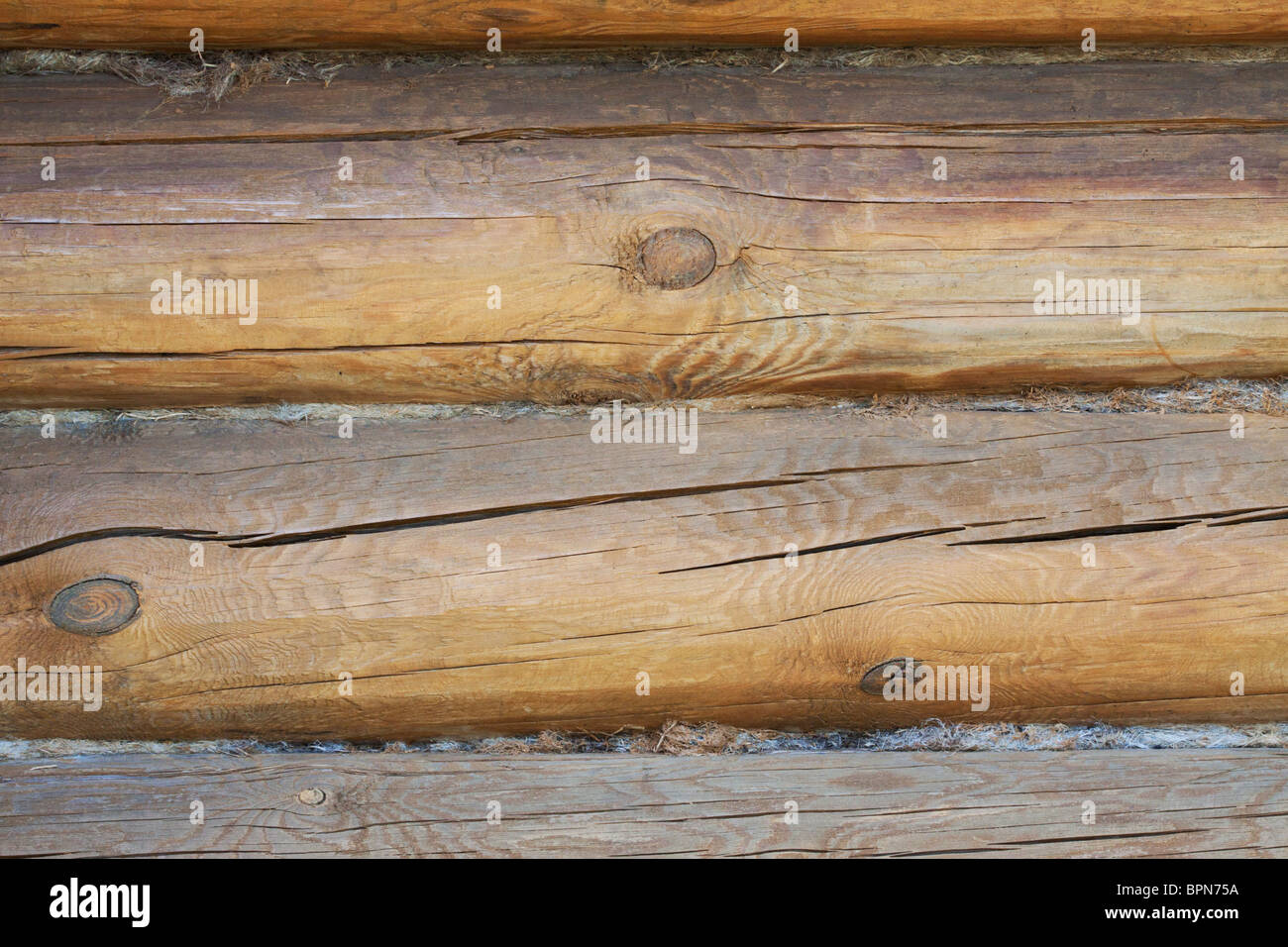 Background from brown pine logs and a tow Stock Photo - Alamy