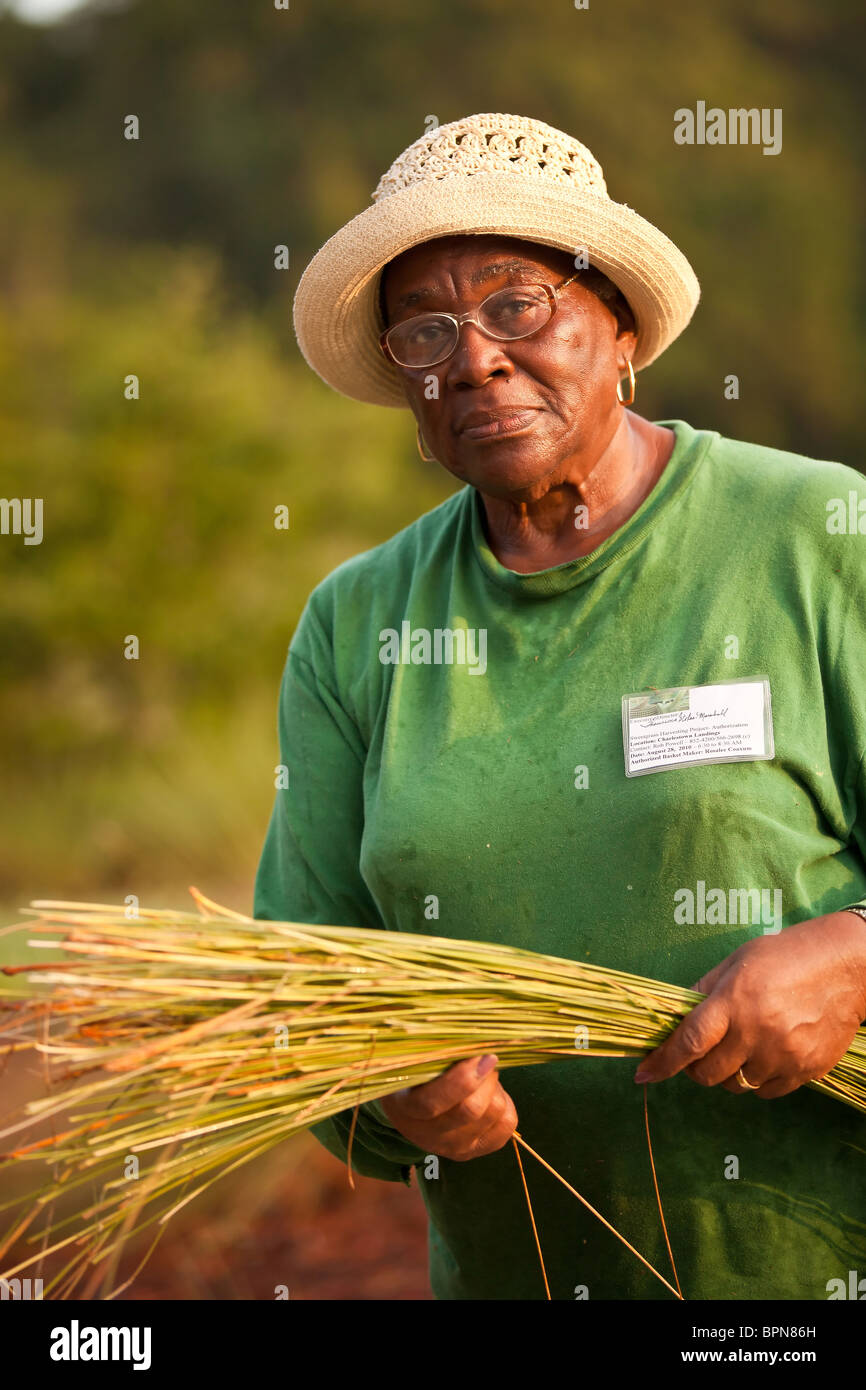 A Gullah sweet grass basket weaver harvests sweet grass to prepare for ...