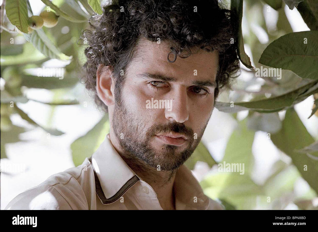 Kais Said High Resolution Stock Photography and Images - Alamy