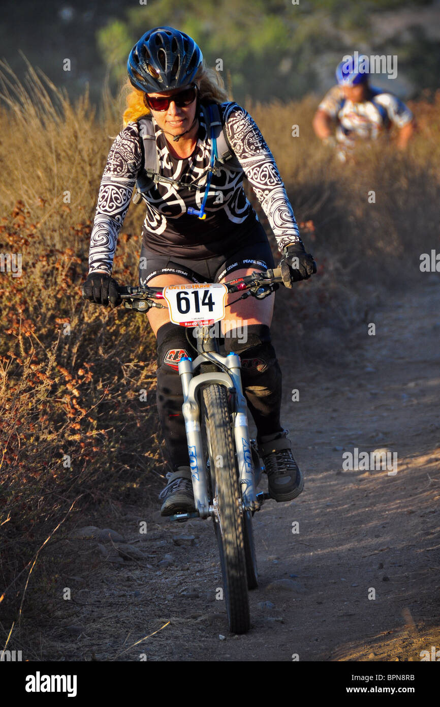 Horse run cycle hi-res stock photography and images - Alamy