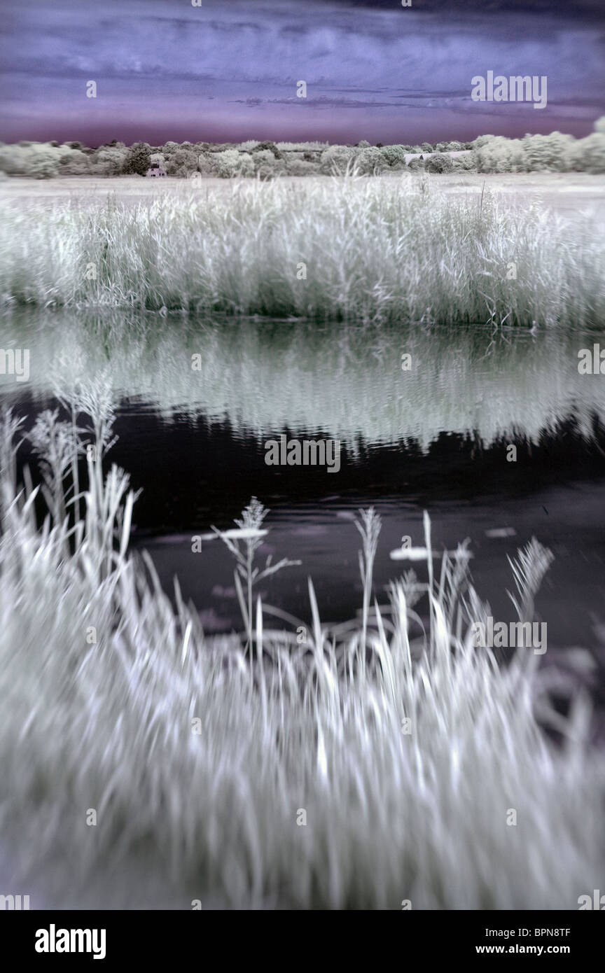 river waveney at geldeston Norfolk england Stock Photo - Alamy