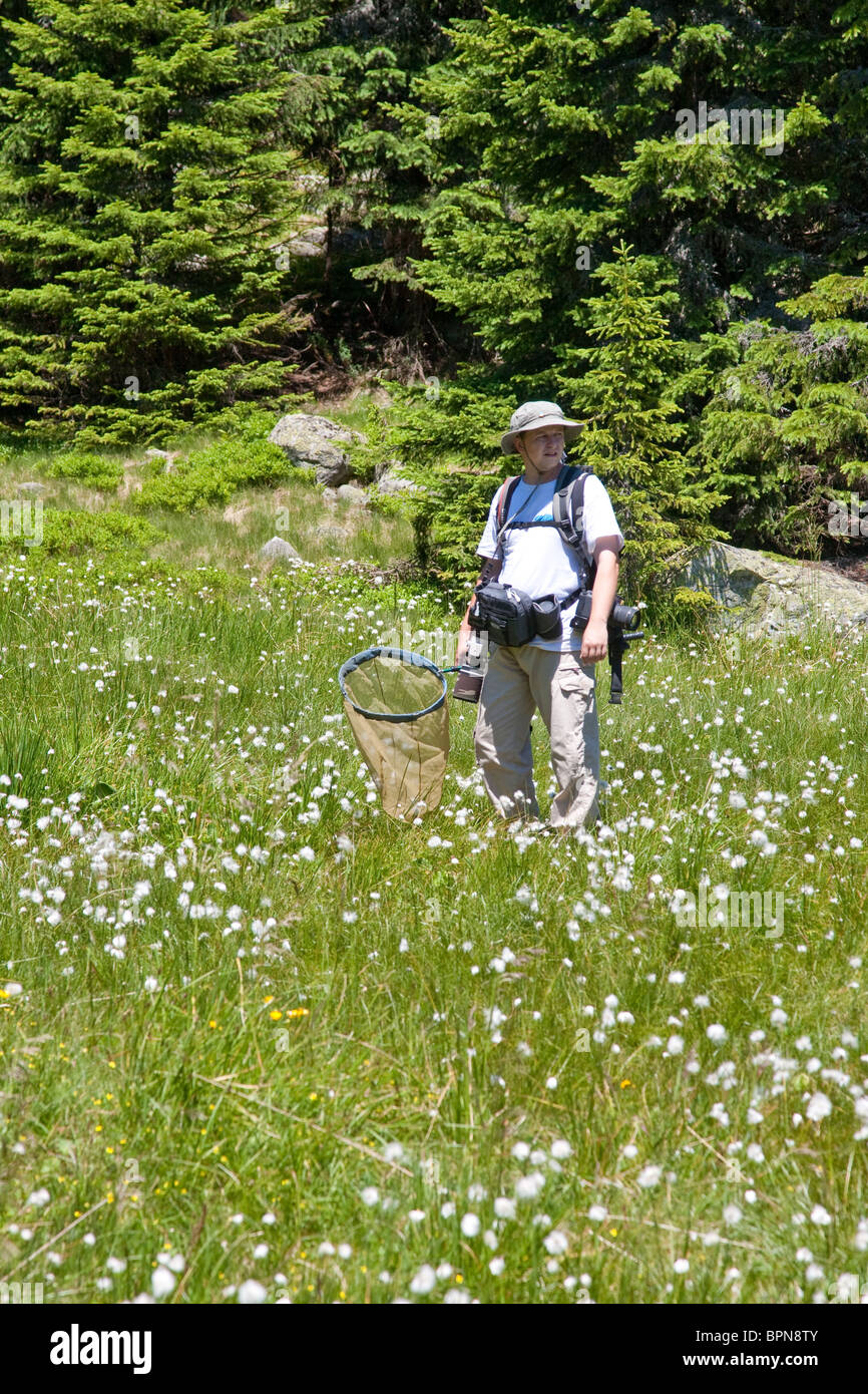 Biologist researching insects in a bog in Romania Stock Photo - Alamy