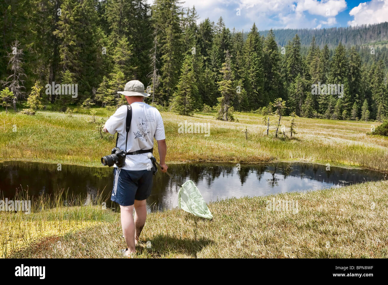 Biologist researching insects in a bog in Romania Stock Photo - Alamy