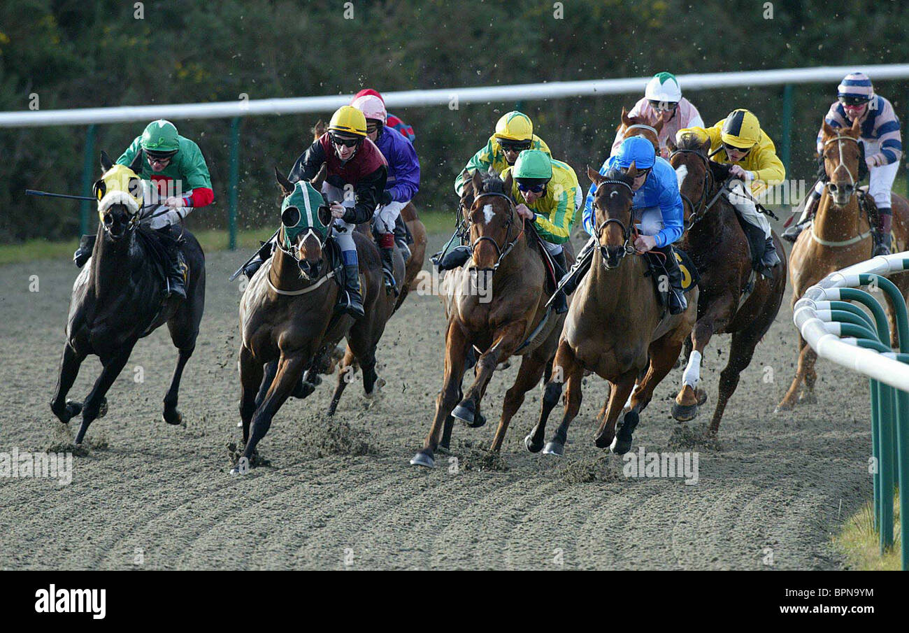 Runners and Riders turn into the final bend at Lingfield Racecourse ...