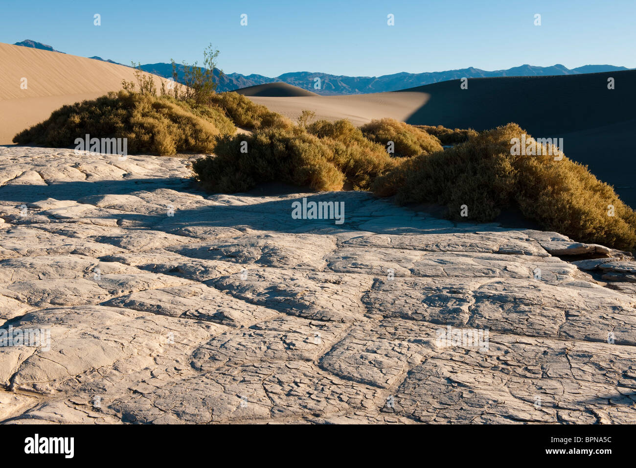 Mud formations in the Mesquite sand dunes, Death Valley National Park ...