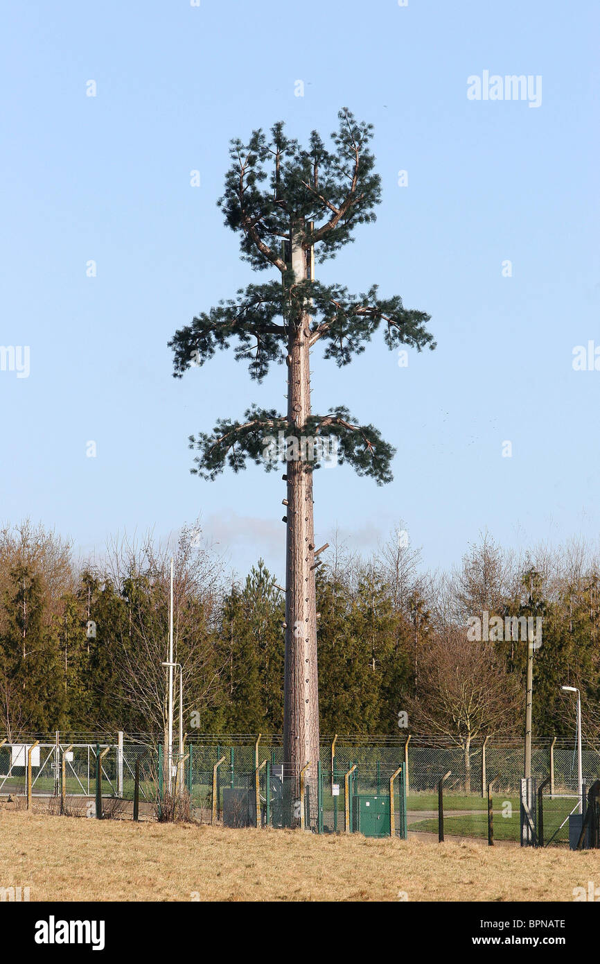 Mobile Phone Mast Camouflaged High Resolution Stock Photography and ...