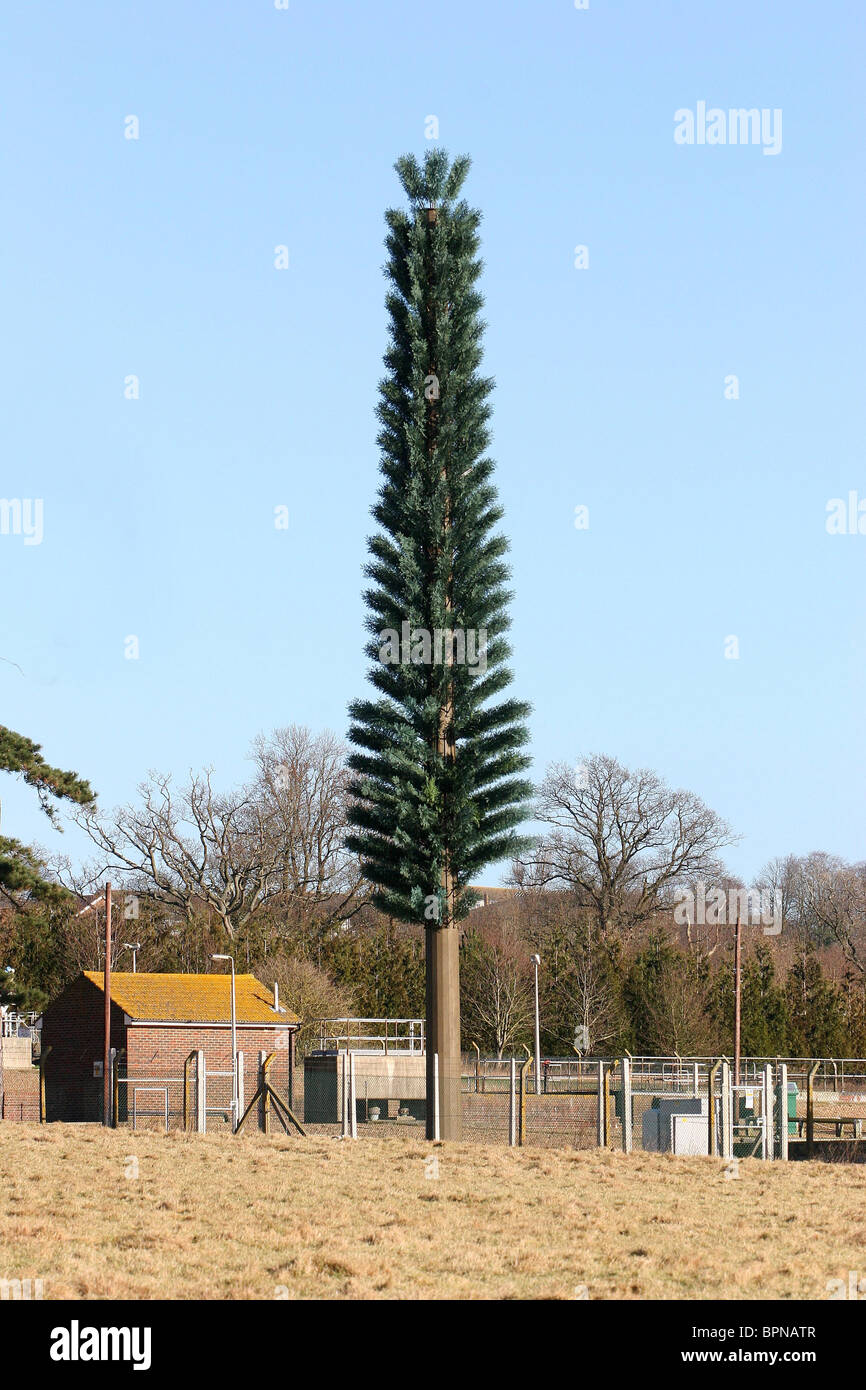 A mobile Phone Mast disguised as a tree, Picture by James Boardman ...
