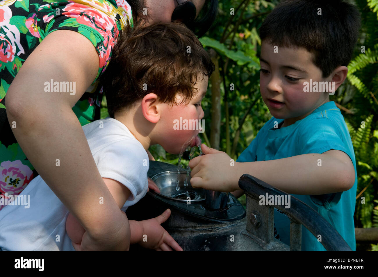 Kids drinking fountain hi-res stock photography and images - Alamy