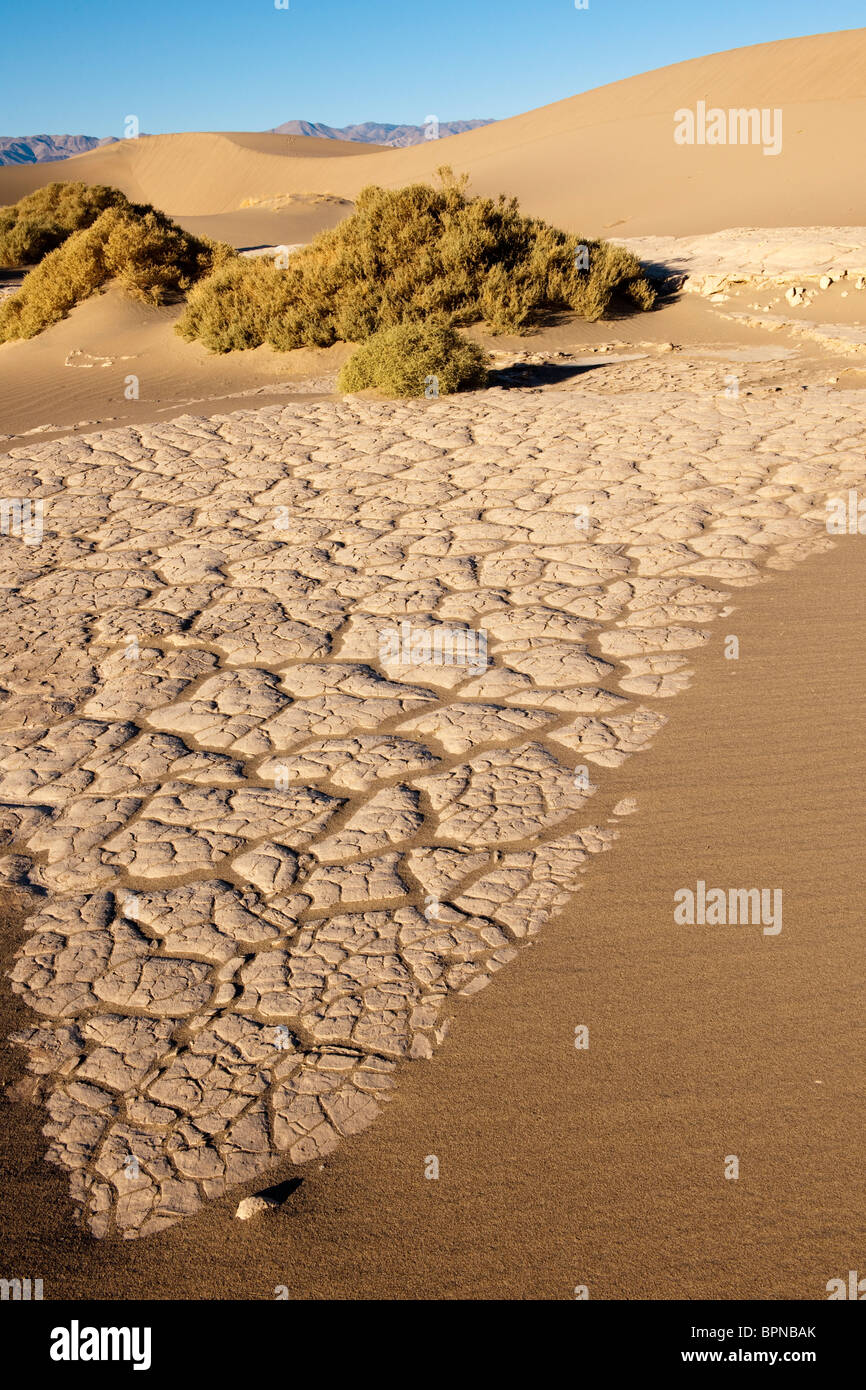 Mud formations in the Mesquite sand dunes, Death Valley National Park ...