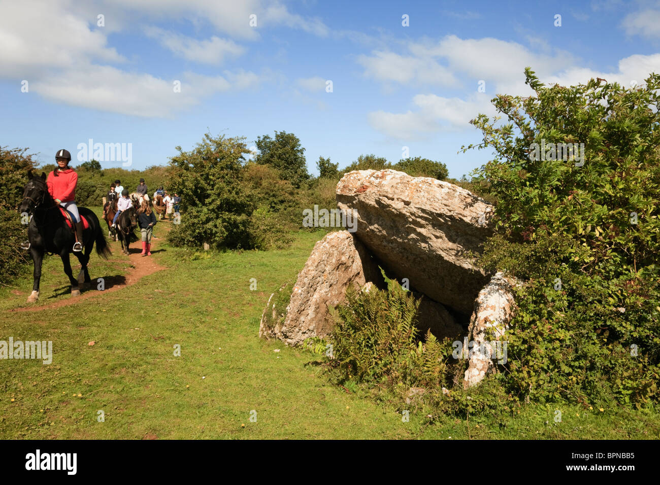 Neolithic horse hi-res stock photography and images - Alamy