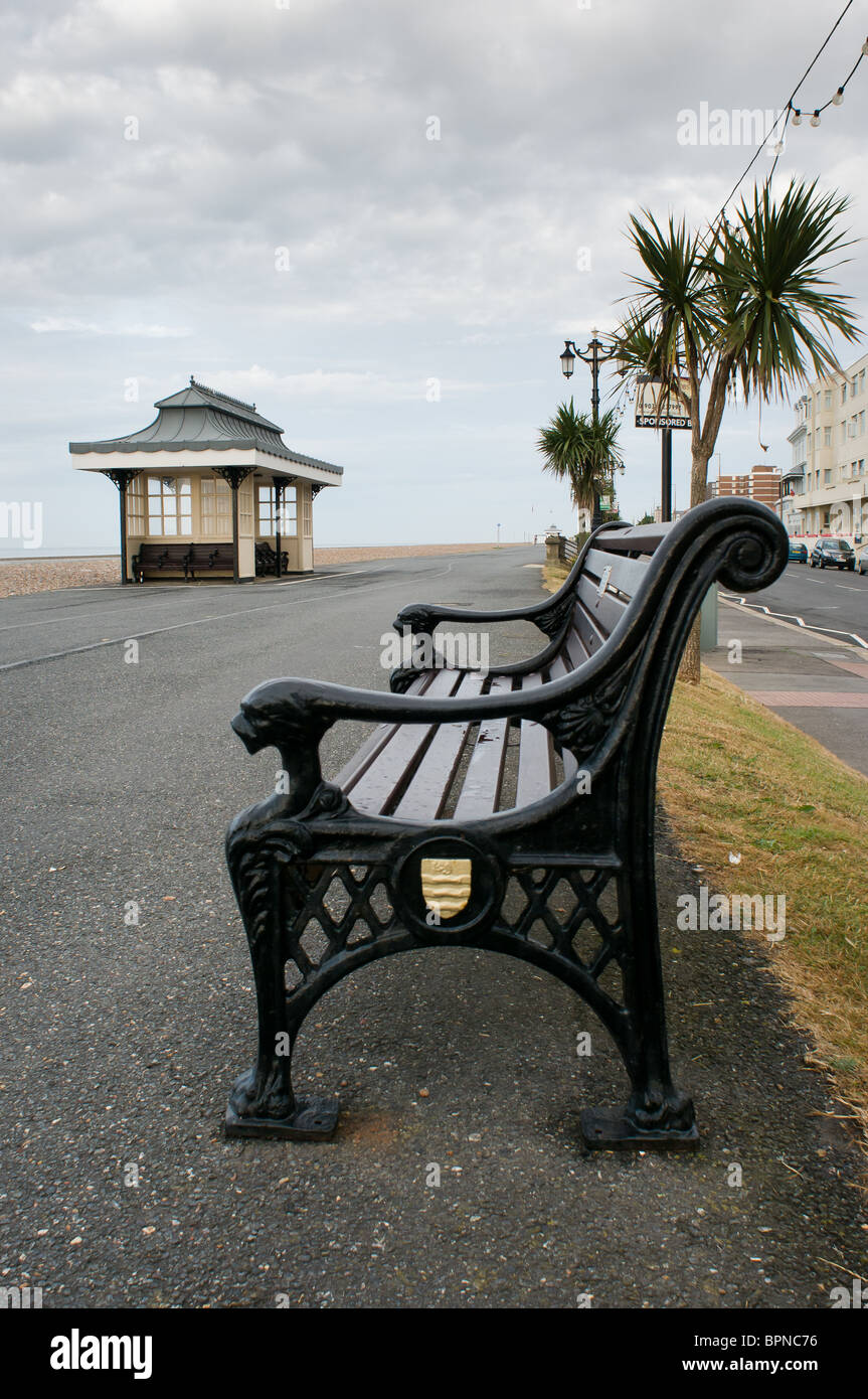 Worthing palm trees hi-res stock photography and images - Alamy