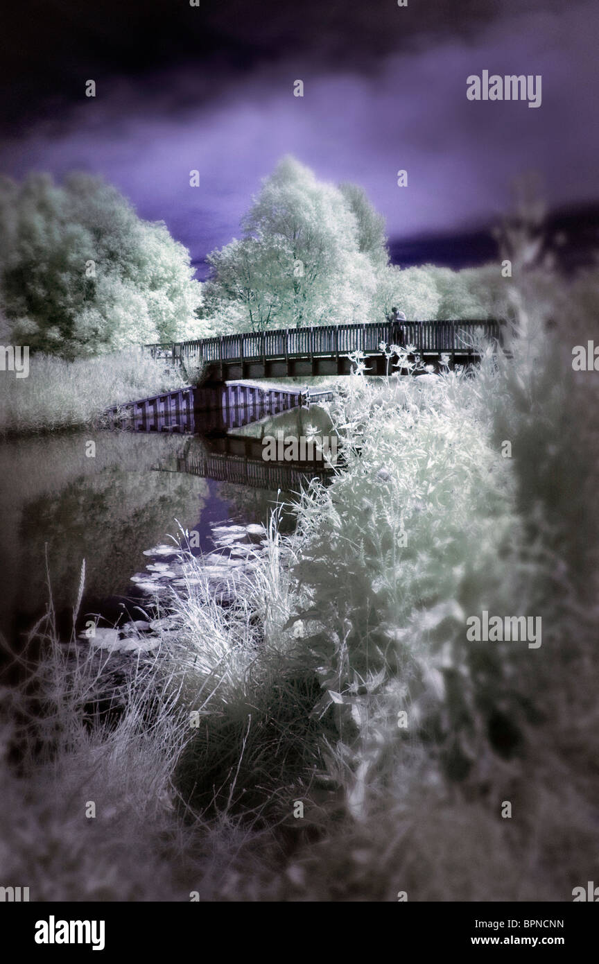 man standing on bridge over river waveney Stock Photo - Alamy
