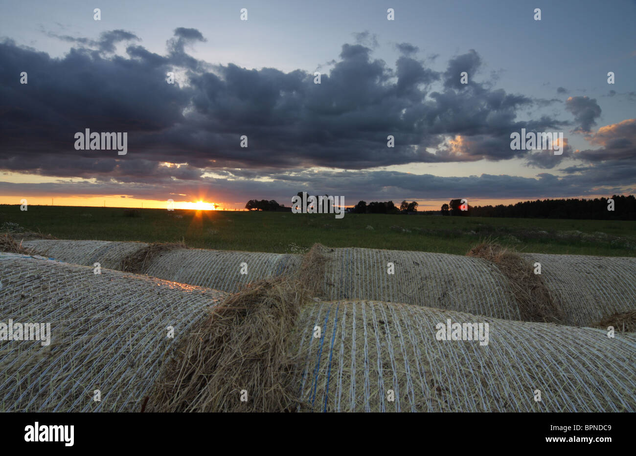 Sun set in litter field, Estonia Stock Photo - Alamy