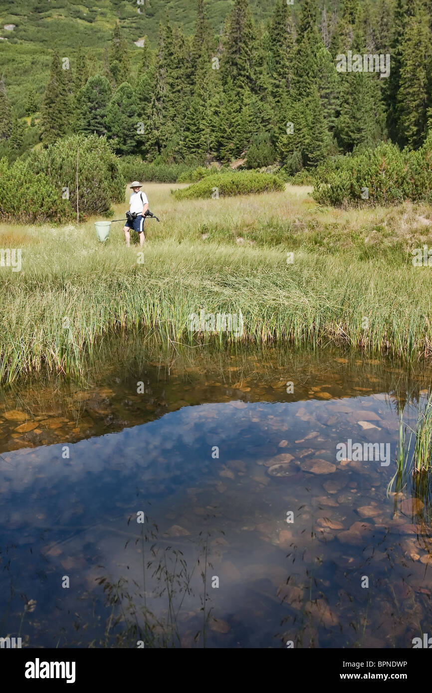 Biologist researching insects in a bog in Romania Stock Photo - Alamy