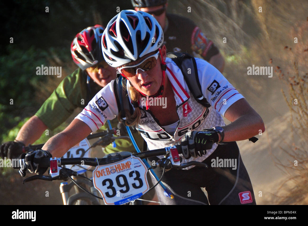Horse run cycle hi-res stock photography and images - Alamy
