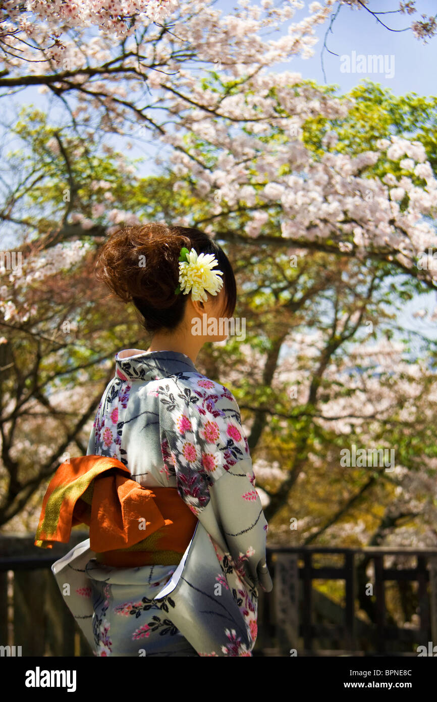 Hanami kyoto hi-res stock photography and images - Alamy