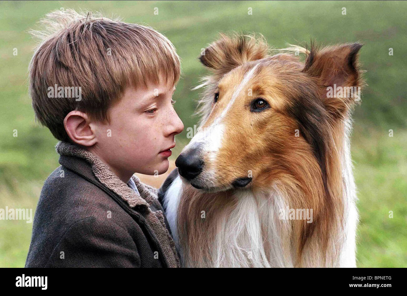 Lassie Movie High Resolution Stock Photography and Images - Alamy