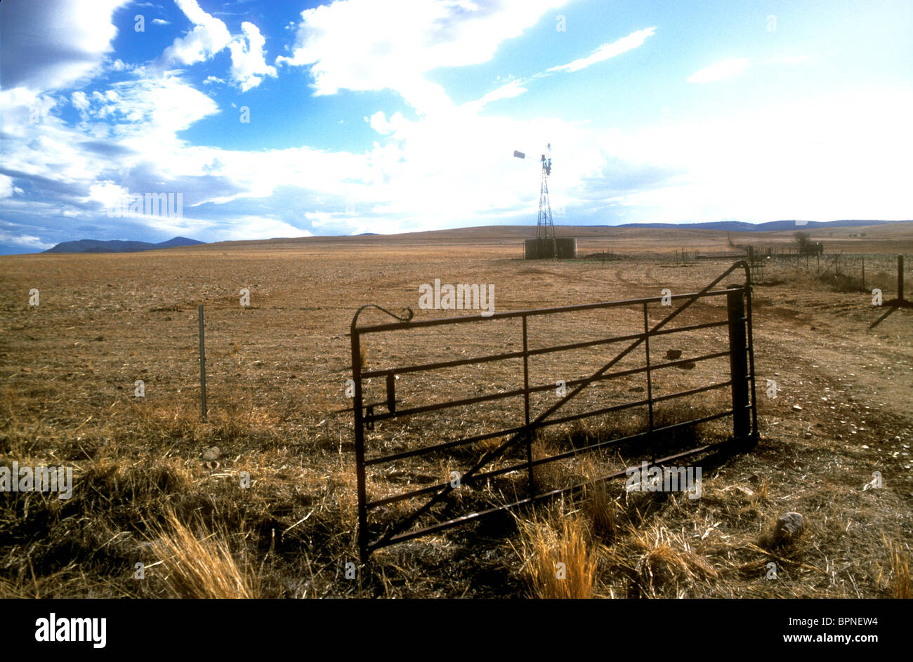 Outback Australia with gate and windmill-driven artesian bore well ...
