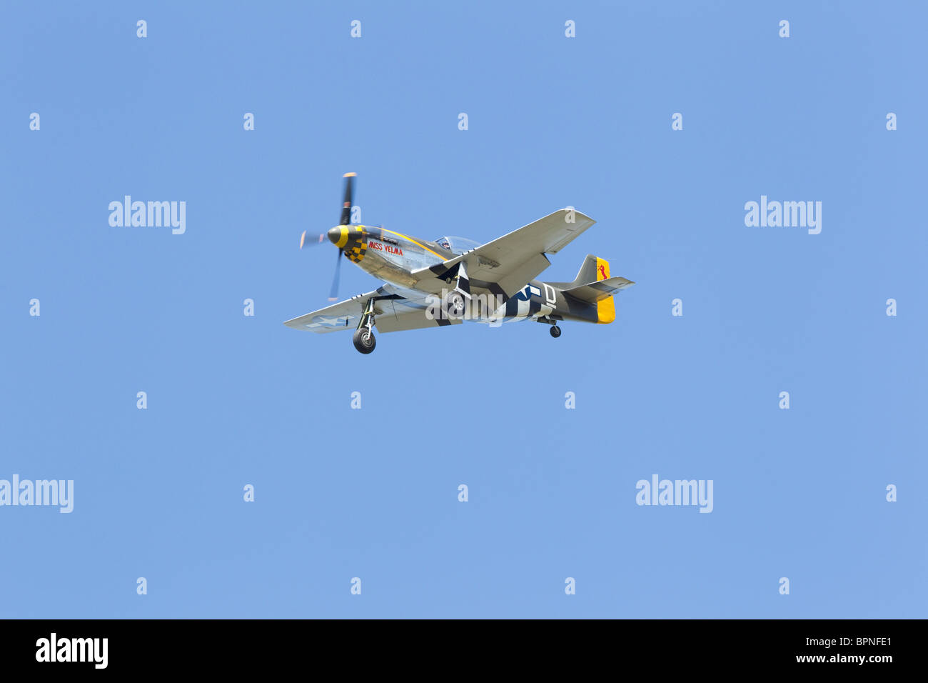North American P-51 Mustang flying at an aerial display Stock Photo - Alamy