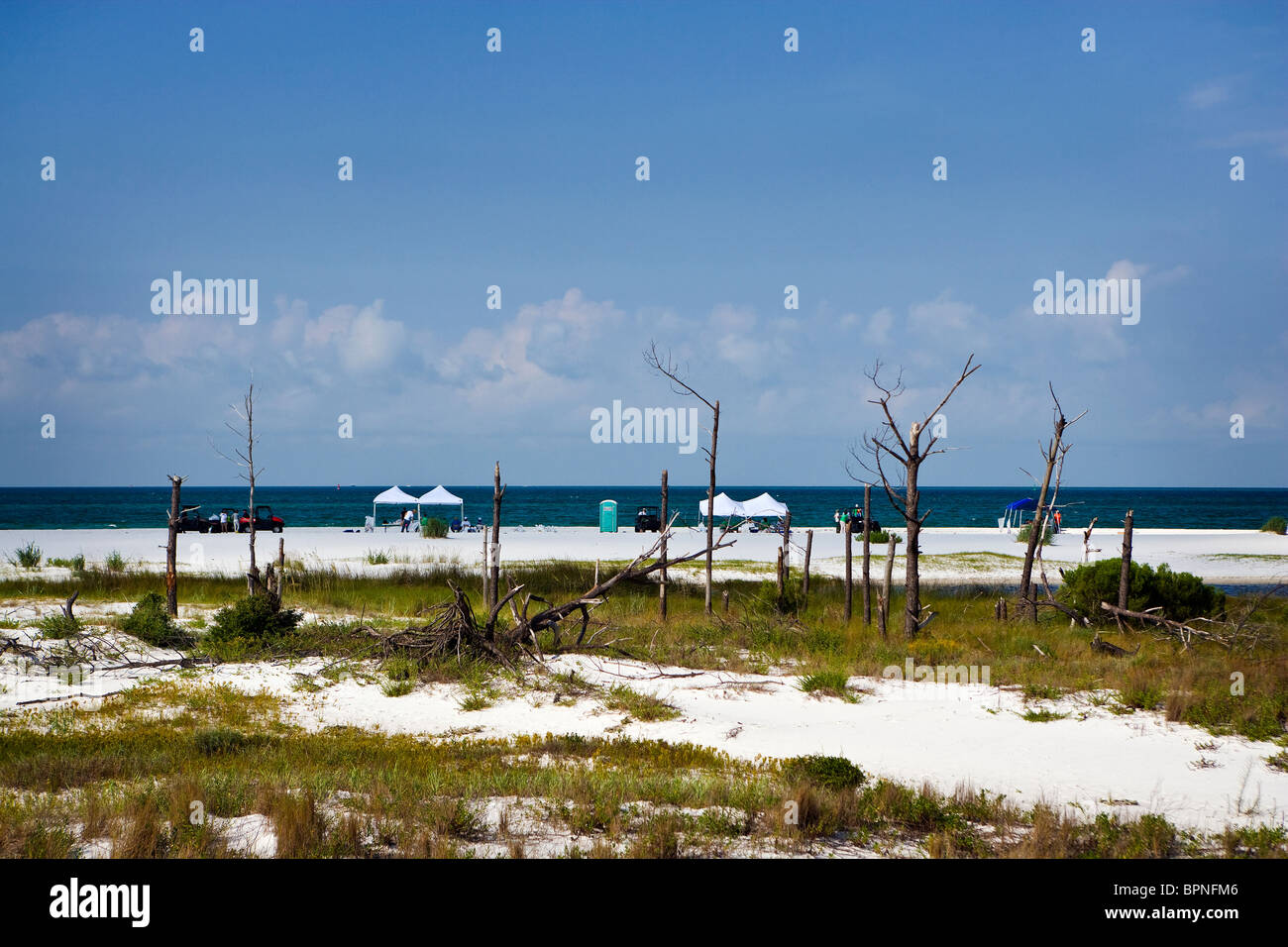 Clean-up crews work along Florida's Gulf Coast cleaning up oil and tar ...