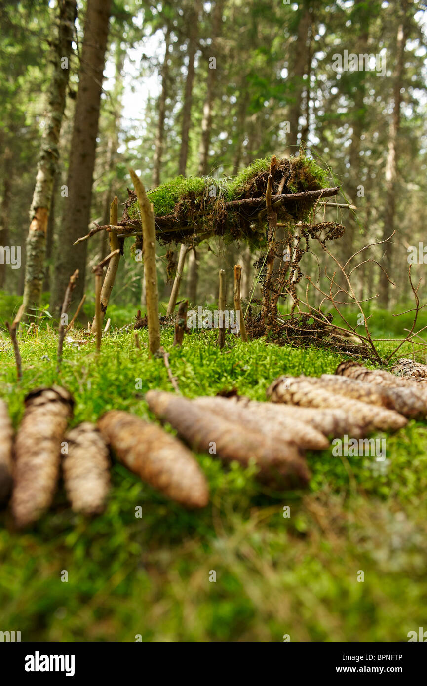 Wooden house dwarf in forest hi-res stock photography and images - Alamy