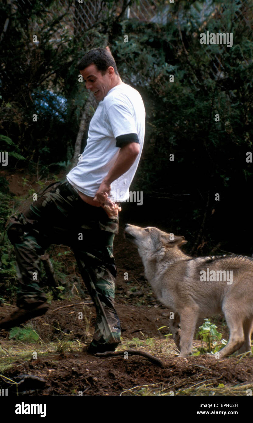 Wildboyz High Resolution Stock Photography and Images - Alamy